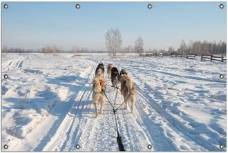 Wallario Outdoor-Poster f&uuml;r Garten oder Balkon Hundeschlitten im Schnee, Motivbanner Gr&ouml;&szlig;e: ca. 100 x 150 cm, Outdoor-Bild