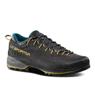 La Sportiva TX4 Evo GTX - Herren Zustiegsschuh - Carbon/Bamboo - 42