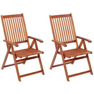vidaXL Chaises pliables de jardin lot de 2 Bois solide dacacia Marron Vidaxl