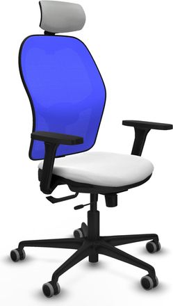 Piqueras y Crespo Ergonomischer Chorquera Stuhl mit 3D-Armlehnen, h&ouml;henverstellbarer Lendenwirbelst&uuml;tze und h&ouml;henverstellbarem Kopfteil und Neigungsverstellung, ausgest