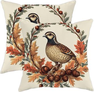 Generic Herbstwachtelvogel Kissenbezug Weich Zierkissenbez&uuml;ge Komfort Kissenh&uuml;lle F&uuml;r B&uuml;ro Schlafzimmer Hotel 45X45Cm 2Er Set