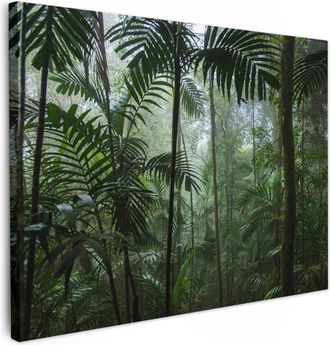 MuchoWow © Leinwand Bilder 40x30 cm Wanddeko Wohnzimmer Aesthetic Room Decor Deko Zimmer Wandbilder Modern Fotogeschenke Regenwald - Dschungel - Bäume - Pflanz
