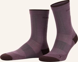 Icebreaker Socken Merino Hike + Ultralight Crew grau