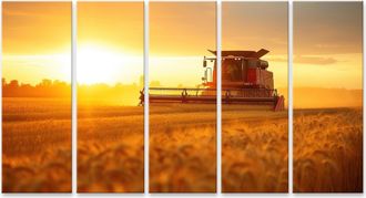 Islandburner Bild auf Leinwand Mähdrescher erntet Weizenfeld bei Sonnenuntergang Traktor Bilder Wandbilder Poster