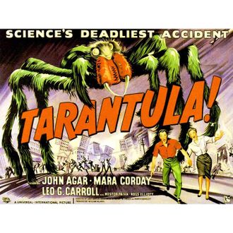 Wee Blue Coo Prints Movie Film Tarantula Giant Spider Horror ARACHNOPHOBIA SCI FI USA 30x40 cms Art Poster Print Picture Film Grusel Vereinigte Staaten von Amerika