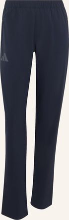 ADIDAS TERREX Adidas Terrex Terrex Multi Essentials Stretch Hose blau