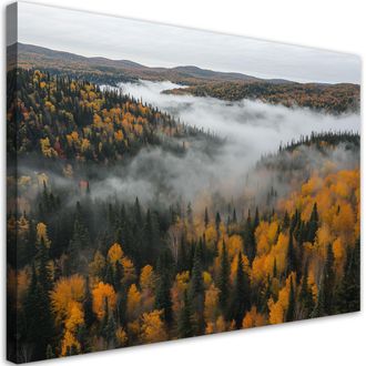 Artgeist Artgeist - Quadro Su Tela, Foresta Nella Nebbia Natura Paesaggio - 60x40