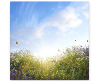 Paul Sinus Art Leinwandbilder | Bilder Leinwand 90x90cm sommerliche Blumenwiese