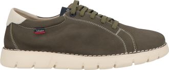 Callaghan ADAPTACTION