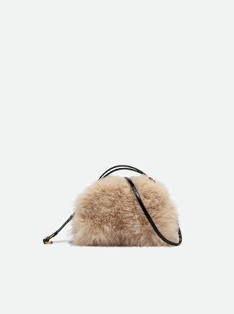 Gianni Chiarini ALIFA