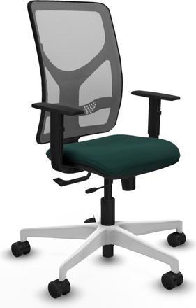 Piqueras y Crespo Schreibtischstuhl, Minzgr&uuml;n, mit 1D-Armlehnen, h&ouml;henverstellbare Lendenwirbelst&uuml;tze, ausgestattet mit Syncro/Traslack und Schneideschaum, Grau/Flasche