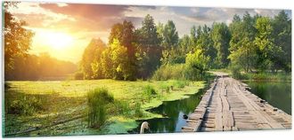 Arttor Panorama Bilder auf Glas 100x40cm Glasbild Architektur Promenade Schwan Landschaft Groß Wanddeko Schlafzimmer Küche Wandbilder Dekoration Wohnzimmer M