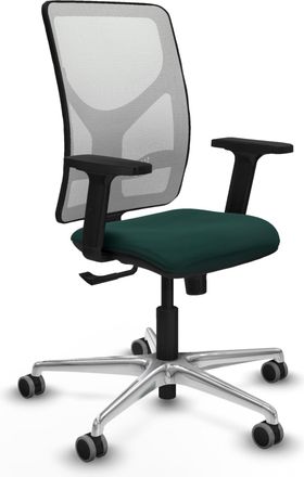 Piqueras y Crespo B&uuml;rostuhl, gr&uuml;n, mit 2D-Armlehnen, h&ouml;henverstellbare Lendenwirbelst&uuml;tze, ausgestattet mit 3 Positionen und Schneideschaum, mit Rollen von 65 mm, Parke