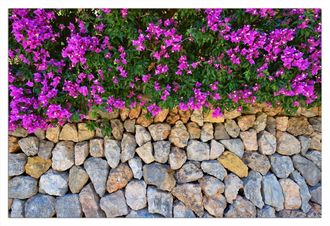 Wallario selbstklebendes Poster - Mauer mit pinken Bl&uuml;ten, Aufkleber in Premiumqualit&auml;t, Klebefolie Gr&ouml;&szlig;e: 61 x 91,5 cm (Maxiposter)