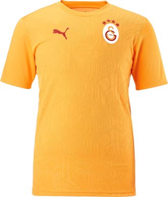 Puma Galatasaray Istanbul Training T-Shirt gelb, L Herren
