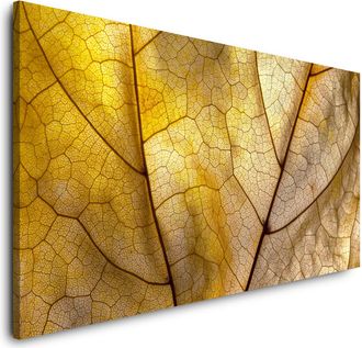 Paul Sinus Art Herbstblatt 120x 60cm Panorama Leinwand Bild XXL Format Wandbilder Wohnzimmer Wohnung Deko Kunstdrucke