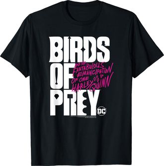 DC Comics Birds of Prey Large Logo T-Shirt