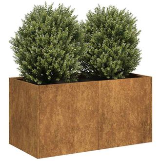 vidaXL Jardini&egrave;re rouill&eacute; 80x40x40 cm acier inoxydable - Vidaxl