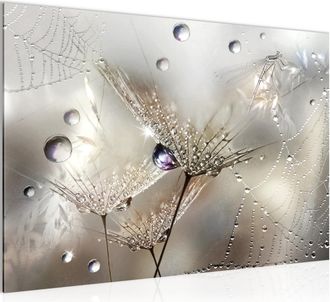Runa Art Bild Blumen Pusteblumen Modern Wandbilder Wohnzimmer 1 Teilig - Made In Germany - Morgentau Braun Flur 043115a