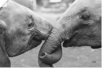 Artland Wanddeko Poster & Kunstdrucke Wandposter 120x80 cm aesthetic room decor Elefant deko Elefanten beste Freunde U5SZ