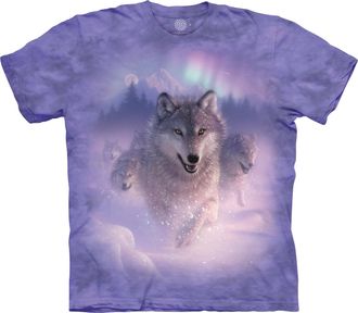 The Mountain Northern Lights Adult T-Shirt, Purple, Medium