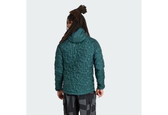 ADIDAS TERREX Outdoorjacke (1-St)