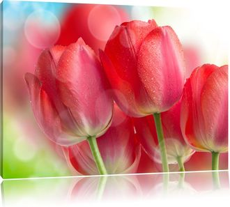 Pixxprint Rote Tulpen, Gr&ouml;&szlig;e: 60x40cm, Leinwandbild, fertig gespannt, Wandbild, Dekoration, Kunstdruck, kein Poster