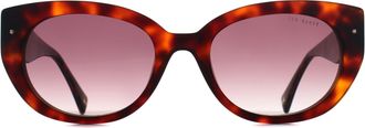 Ted Baker TB1737 100 Schildpatt Sonnenbrille mit braunem Farbverlauf