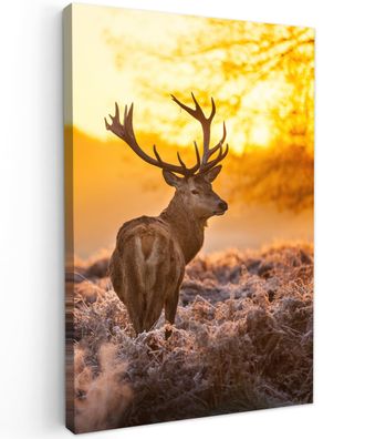 MuchoWow © Wandbilder Groß 80x120 cm XXL Schlafzimmer Home Deko Wohnung Bild Wohnzimmer Fotoleinwand Wand Bilder Leinwand Wall Decor Hirsch - Rotwild - Reh - T