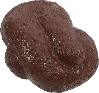 Frcolor wasserdichte Outdoor Schl&uuml;sselbox Poop Key Hider Versteckter Ersatzschl&uuml;sselhalter Realistisches Design F&uuml;r Haus Garten Praktische Sichere Aufbewahrun