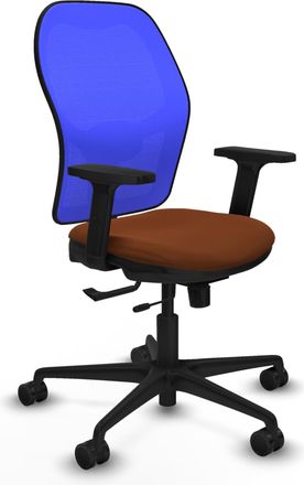 Piqueras y Crespo Jorquera Rollstuhl mit 2D-Armen, h&ouml;henverstellbare Lendenwirbelst&uuml;tze, ausgestattet mit Syncro/Traslack und injiziertem Schaumstoff, Blau/Braun