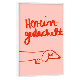 artboxONE Poster mit weißem Rahmen 60x40 cm Typografie Hereingedackelt - Bild dackel gedackel gedackelt