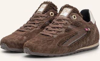 Floris Van Bommel Floris Van Bommel Sneaker Illvi 01 braun
