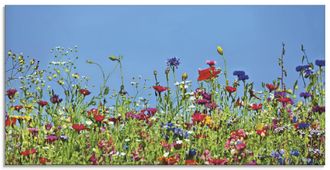 Artland ARTland Wanddeko Glasbilder Wandbild Glas Bild einteilig 100 x 50 cm Pflanzen Gr&auml;ser Blumen Farben Blumenwiese Garten Sommer T3PC
