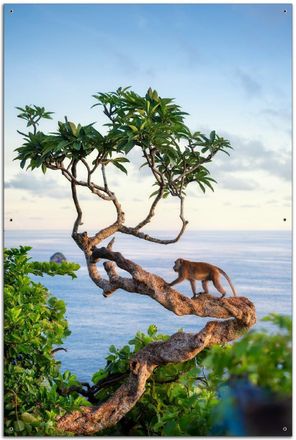 Wallario Outdoor-Poster f&uuml;r Garten oder Balkon AFFE auf Baum, Motivbanner Gr&ouml;&szlig;e: ca. 60 x 90 cm, Outdoor-Bild