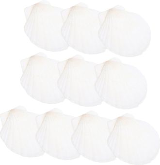 SOLUSTRE 10stücke Weiß Jakobsmuscheln Groß Natur Muschelschale Dekoration Bastelmaterial DIY Handwerk Mikro Landschaft Schmuck Aquarium Ornament
