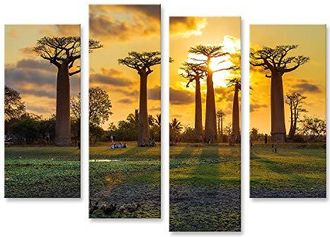 Islandburner Tableau sur toile Beaux Baobabs Au Coucher Du Soleil Avenue Des Baobabs Madagascar Cadre Affiche Poster Murale Tableaux