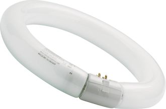 Osram Sylvania Inc. T9 Leuchtstoff-Lampe, G10q Sockel, 32 Watt / 2400 Lumen entspr. ca: 32 Watt, Cool White (4000K), 16000h Lebensdauer, Ring Form, 29mm Durchmesser, Weiß