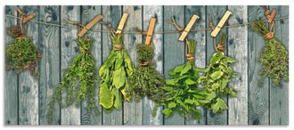 Artland ARTland Spritzschutz Küchenrückwand aus Alu für Küche Herd Spüle 120x50 cm (BxH) mit Motiv Kräuter Pflanzen Gewürze Holzoptik Landhaus Shabby T5XN