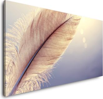 Paul Sinus Art Feder im Sonnenuntergang 120x 60cm Panorama Leinwand Bild XXL Format Wandbilder Wohnzimmer Wohnung Deko Kunstdrucke
