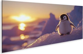 Islandburner Prime Bild auf Leinwand Kleiner Pinguin im Sonnenuntergang Bilder Wandbilder Poster