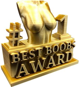 Generic Boobs Award Statue - Freche Award Statue, Unbeschwerte Boobs Trophy | Br&uuml;ste Statue Bachelorette und Streich, lustige Troph&auml;e Auszeichnung f&uuml;r Frauen 