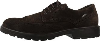 Igi & Co Homme, Chaussures, Brun, Taille: 43 EU Chaussures &agrave; lacets