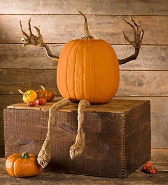 Plow & Hearth Schneepflug & Herzen 65 A44 K&uuml;rbis Vine Arme und Beine Indoor Outdoor Halloween Dekoration, 41,9 x 6,3 cm