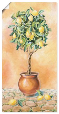 Artland Wanddeko Poster & Kunstdrucke Wandposter 50x100 cm Botanik Pflanzen Topfpflanze Malerei Creme Zitronenbaum I T5HE