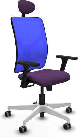 Piqueras y Crespo Computerstuhl, Rollstuhl, mit 3D-Armlehnen, h&ouml;henverstellbarer Lendenwirbelst&uuml;tze und festem Kopfteil, ausgestattet mit 3 Positionen und Schneideschau