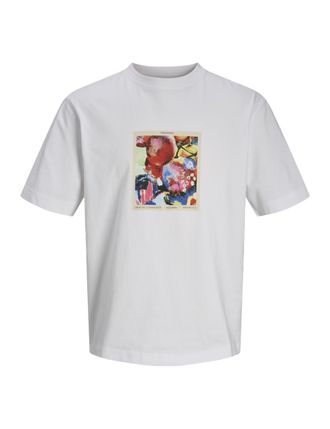 Jack & Jones JACK&JONES JORROXBURY Painting Tee SS Crew Neck