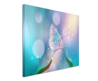 Paul Sinus Art Fotoleinwand 90x60cm Wei&szlig;er Schmetterling auf Grashalm auf Leinwand exklusives Wandbild moderne Fotografie f&uuml;r ihre Wand in vielen Gr&ouml;&szlig;en