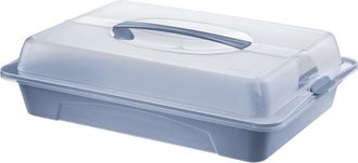 Rotho Cool & Fresh Partybutler mit Kühlung, Haube und Tragegriff, Kunststoff (PP) BPA-frei, transparent/blau, (43.5 x 29.5 x 11.0 cm)