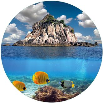 Wallario Glasbild rund Exotische Fische im Meer - Rund, 50 cm Durchmesser Wandbild Glas in Premium-Qualität: Brillante Farben, freischwebende Optik